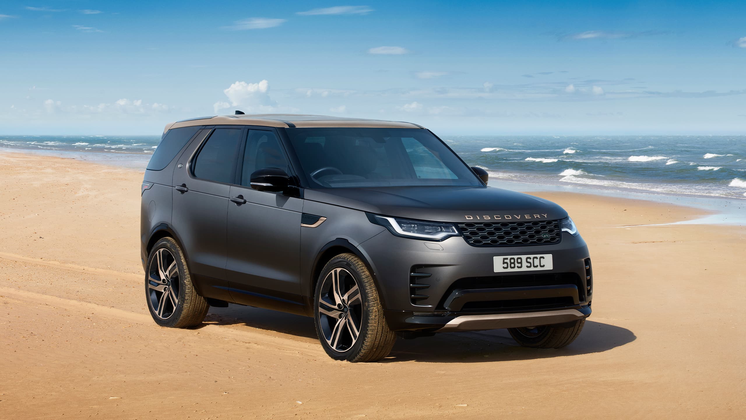 Explore Discovery's Exceptional Newest Editions